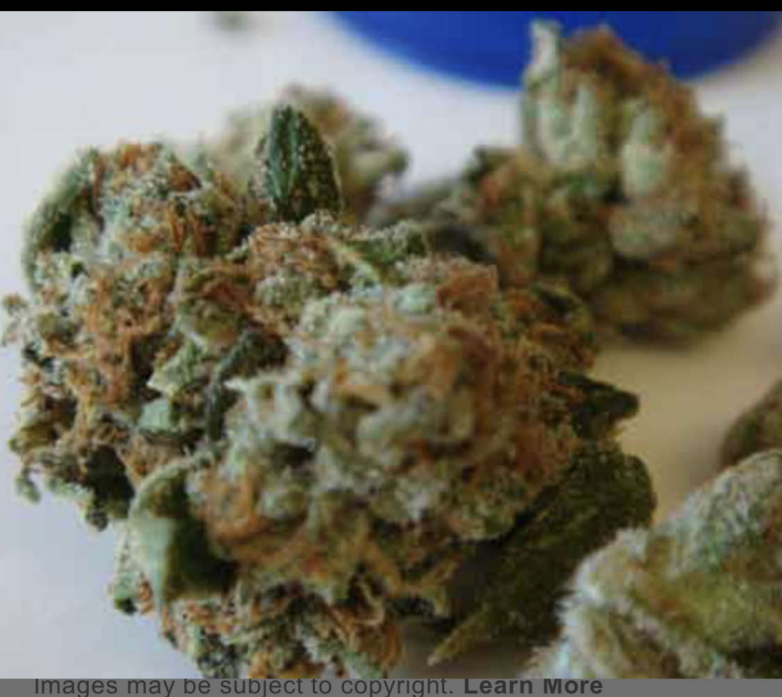 Buy Obama Kush - Closest Recreational Marijuana Dispensary Near Me