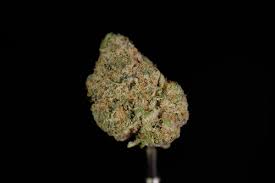 Buy Grape Cookies Indica - Girl Scout Cookies and Grape Kush | Weed DC ...
